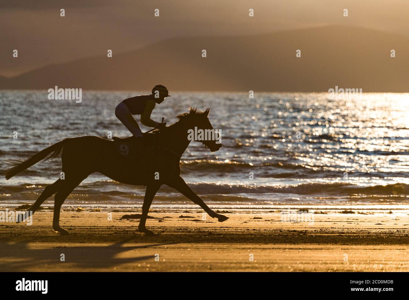 Race horse and jockey galloping on the beach at sunset, west coast of ...