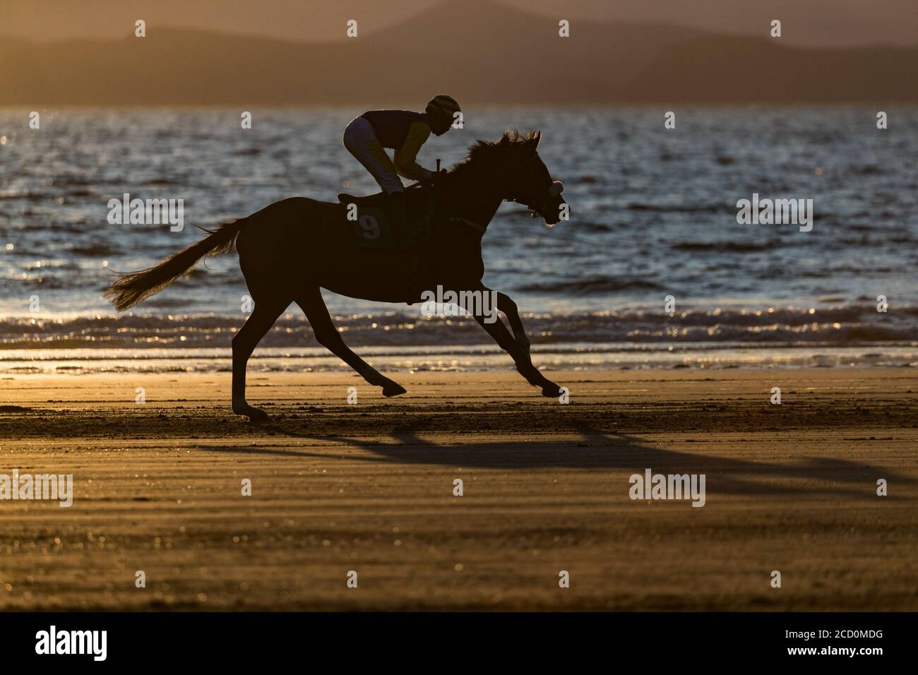 Race horse and jockey galloping on the beach at sunset, west coast of ...