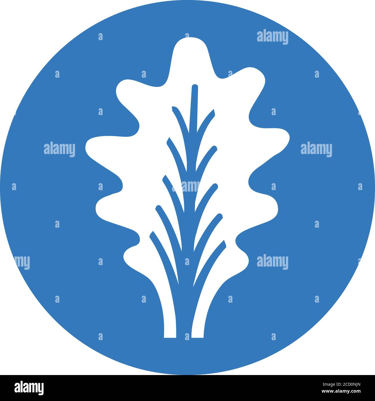 Lettuce icon hi-res stock photography and images - Alamy