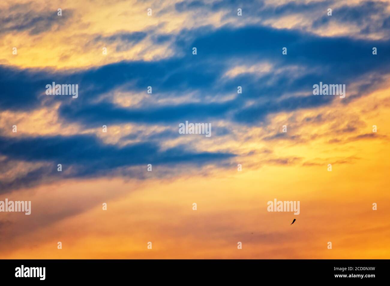 Violet of the sky hi-res stock photography and images - Alamy