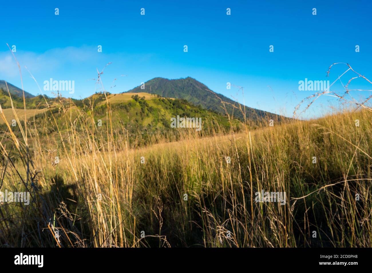 Sloping field with a view of mountain in the background Stock Photo - Alamy