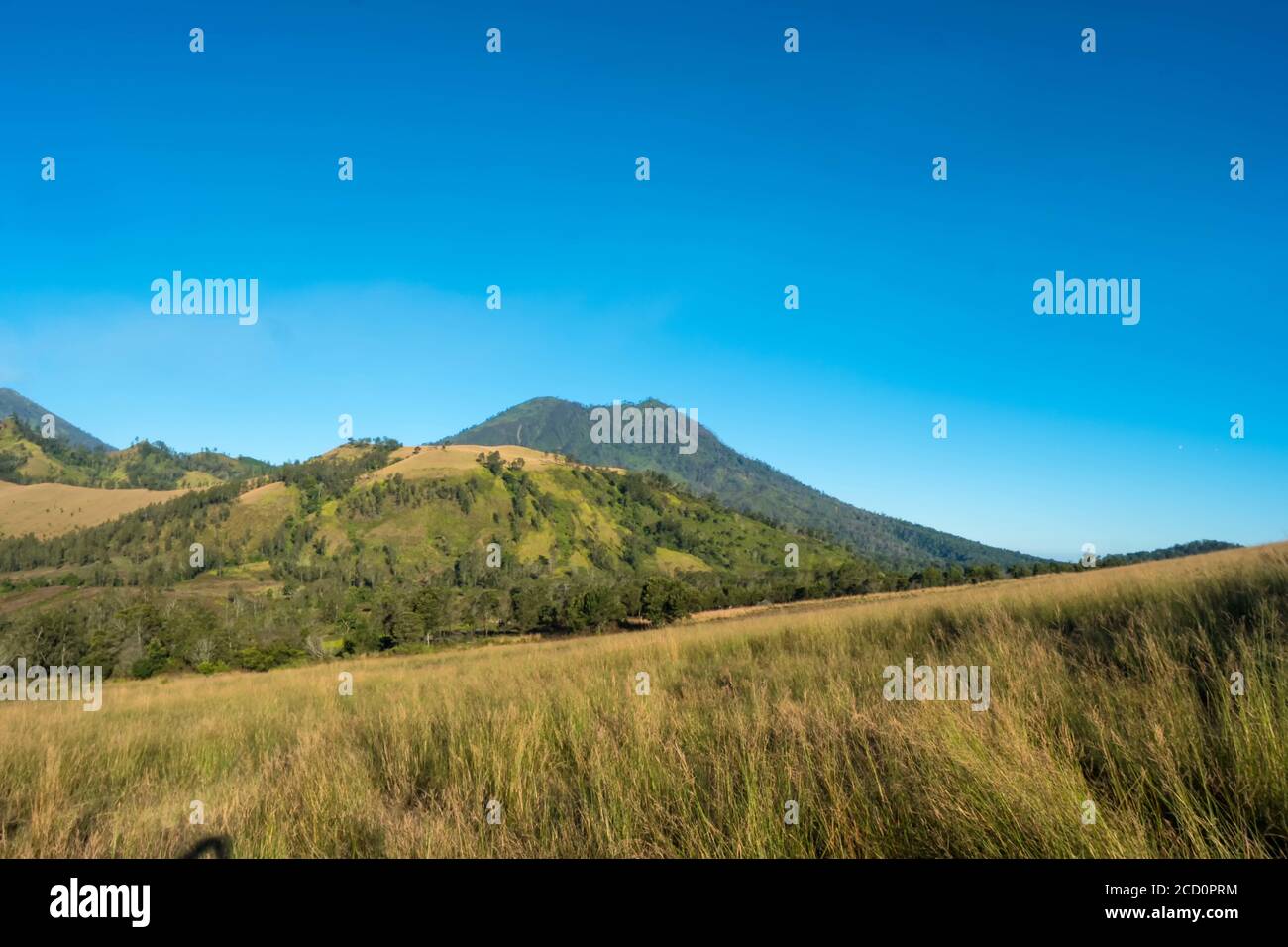 Sloping field with a view of mountain in the background Stock Photo - Alamy