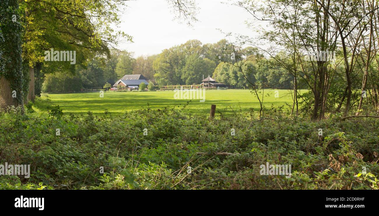 Landscape in Twente, the Netherlands Stock Photo - Alamy