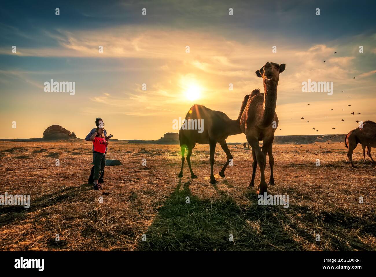 Arabian Desert Sunset