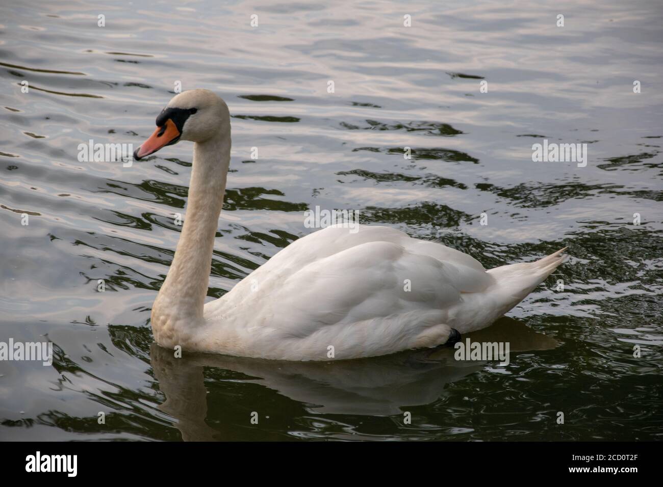 High angle shot beautiful blue hi-res stock photography and images - Alamy