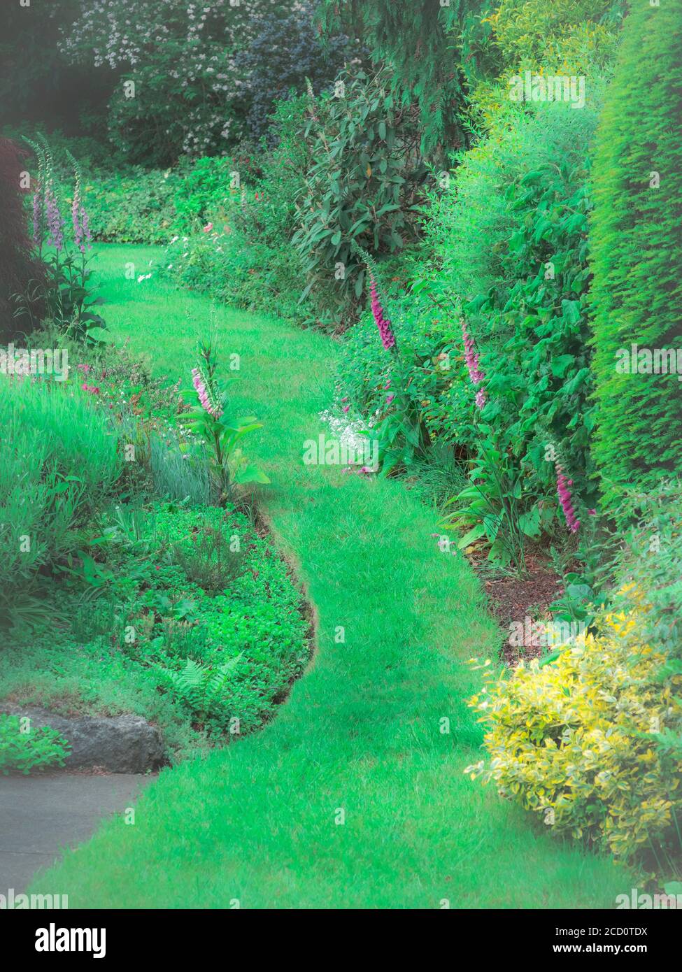 Garden path - soft focus, dreamy effect Stock Photo - Alamy