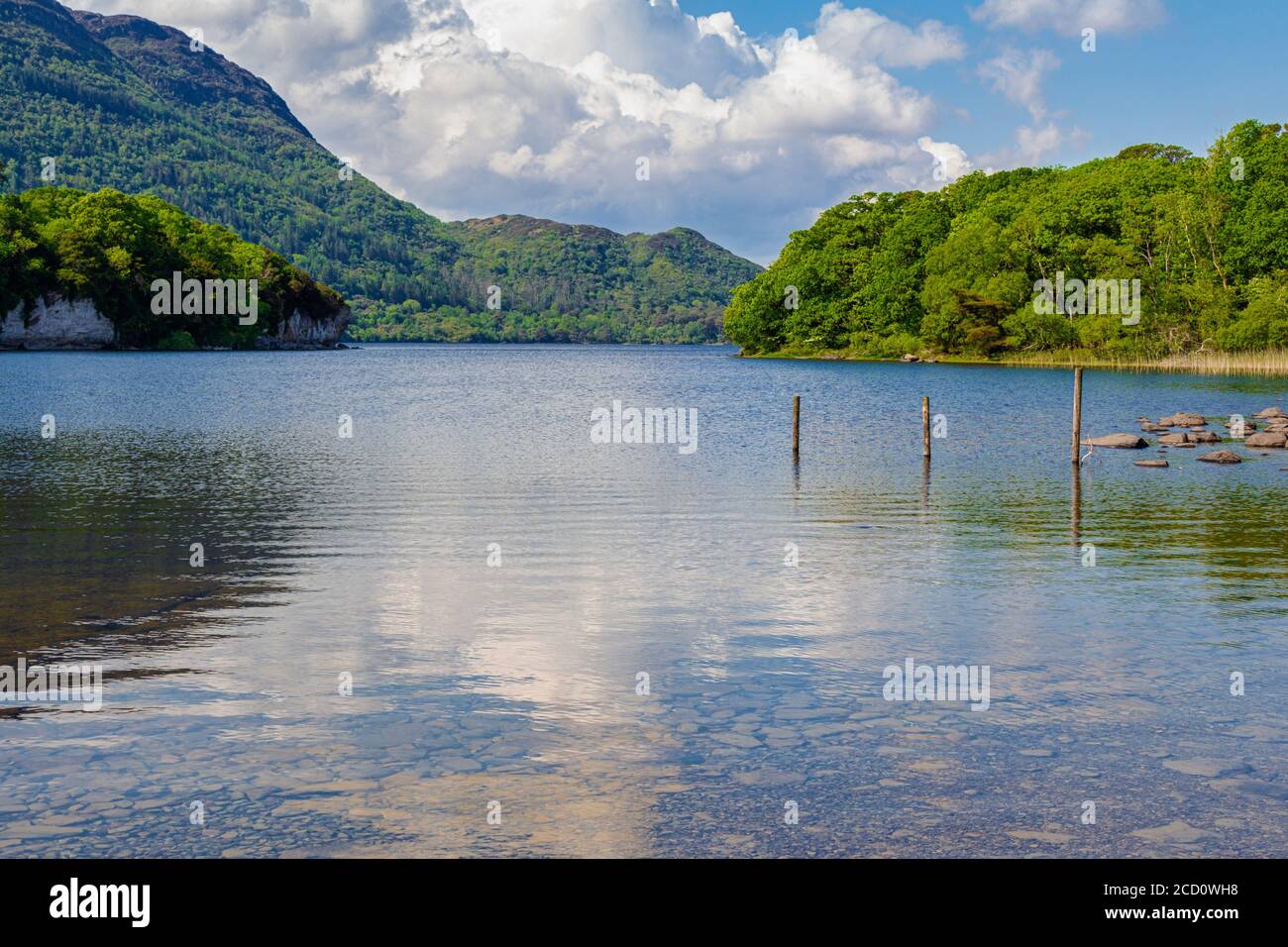 View from forest of lakes of Killarney National Park Stock Photo - Alamy