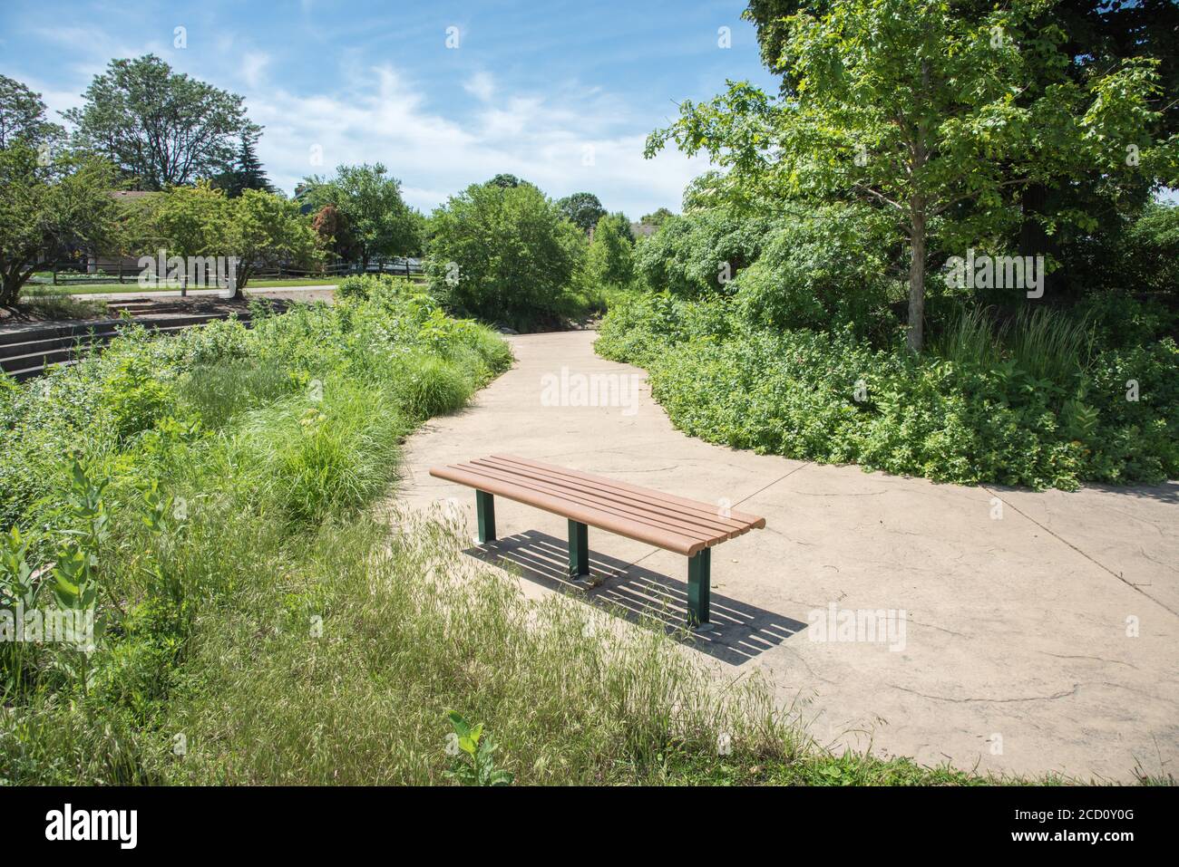 Park bench along pedestrian sidewalk with lush greenery under a blue ...