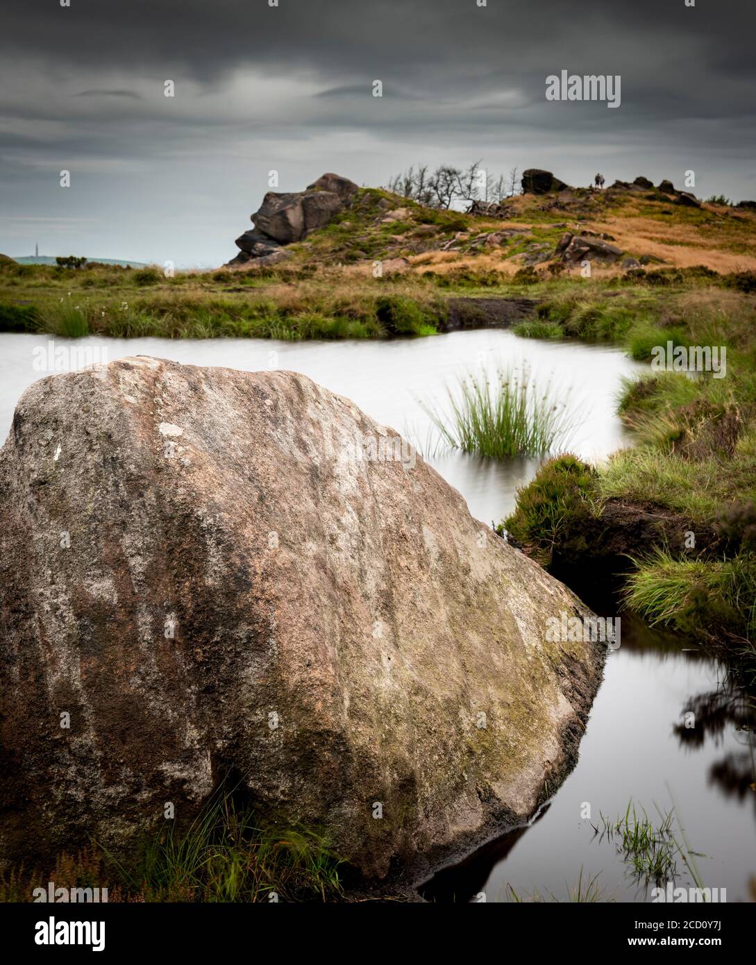 Doxey pool roaches hi-res stock photography and images - Alamy