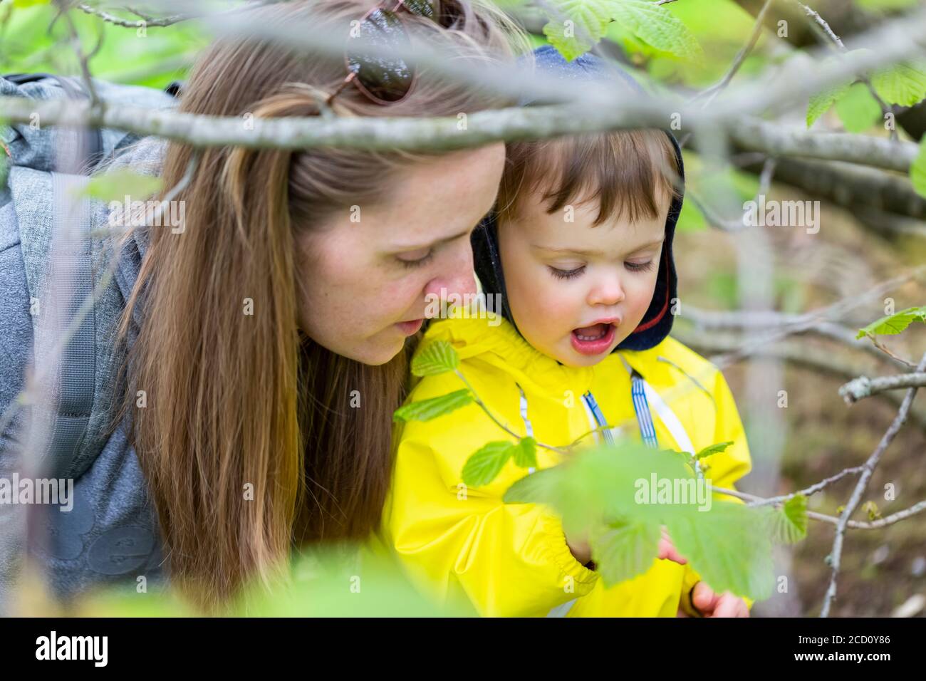 Mother leaf hi-res stock photography and images - Alamy