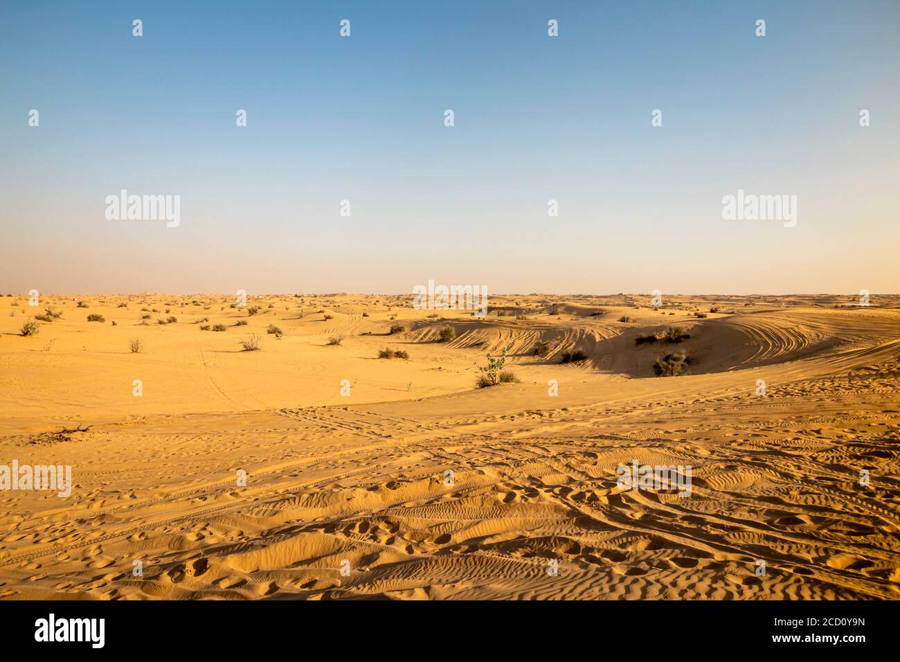Dubai desert during golden hour Stock Photo - Alamy