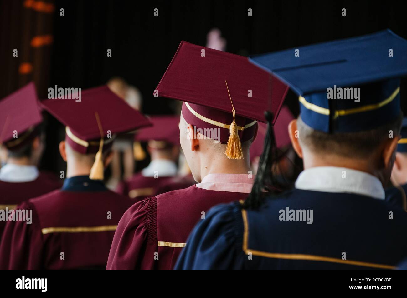 University graduates certificate hi-res stock photography and images ...