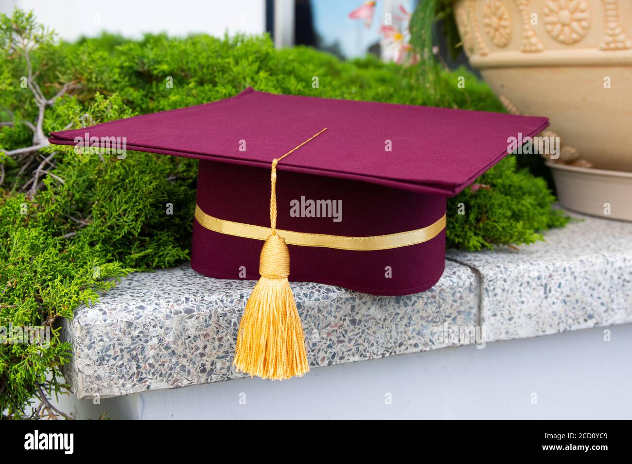 University graduate celebration cap worn with robe isolated on colorful ...