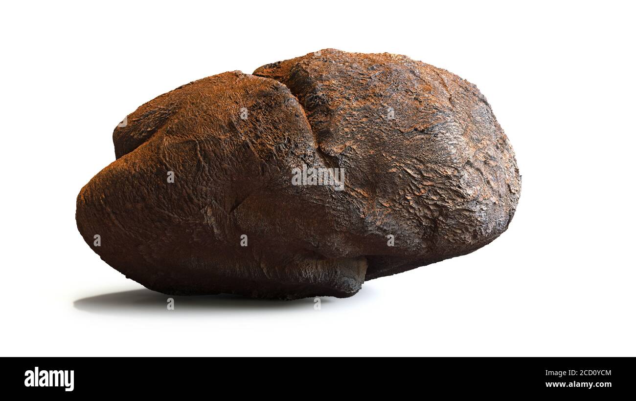 smooth brown rock isolated with shadow on white background Stock Photo ...