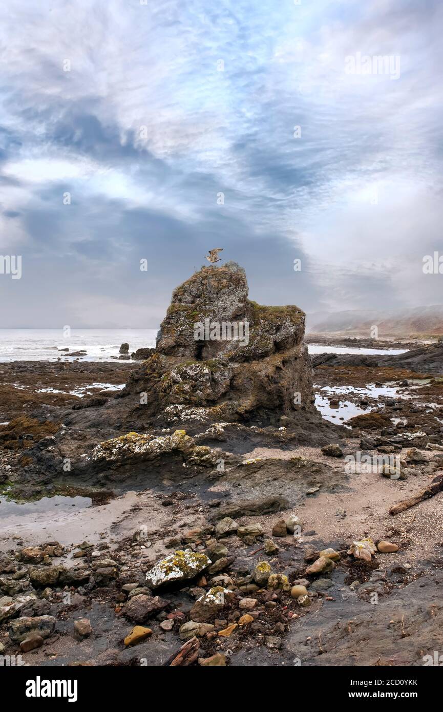 Metamorphic rock landscape hi-res stock photography and images - Alamy