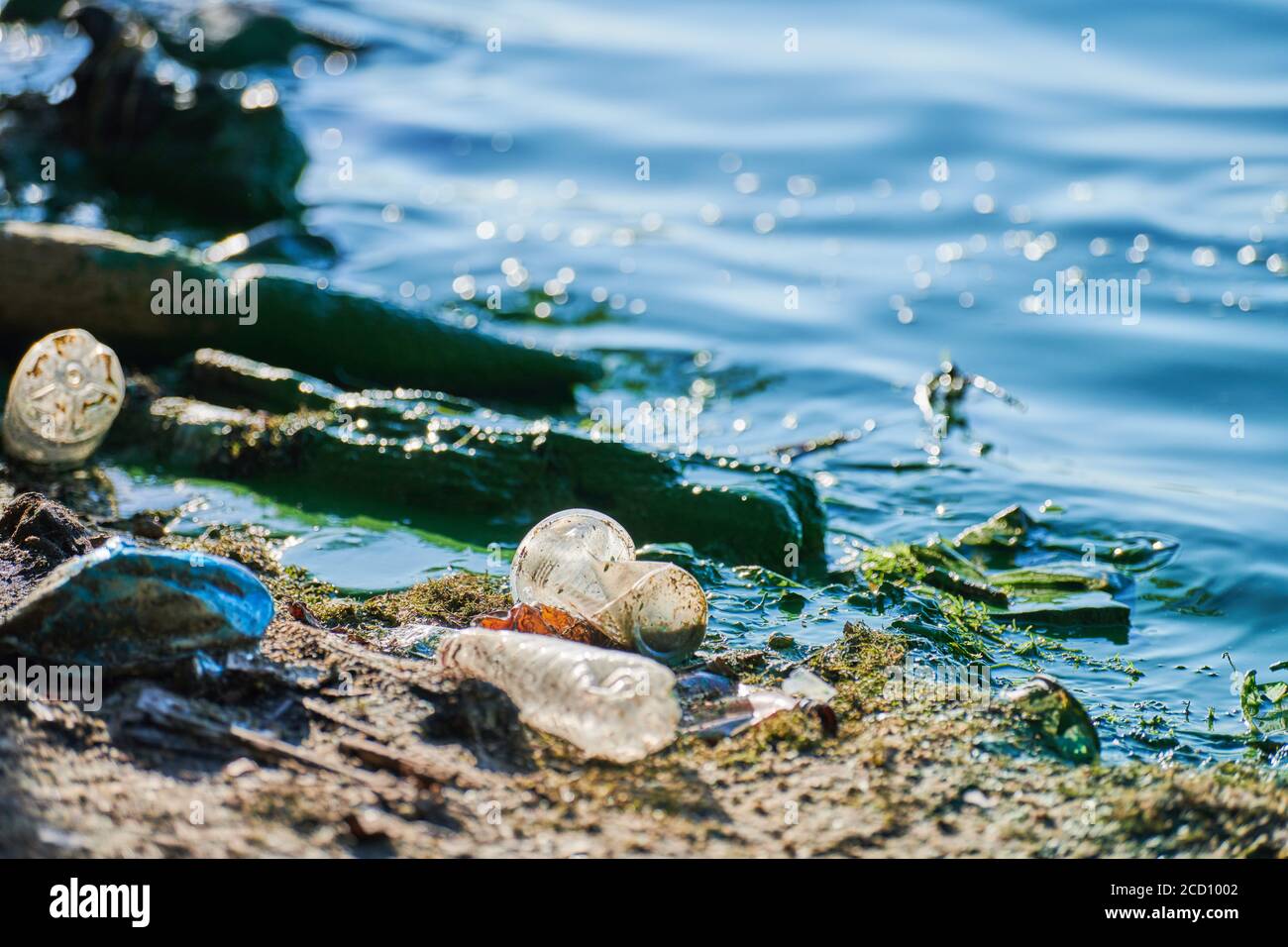 Radioactive Waste Disposal In Water