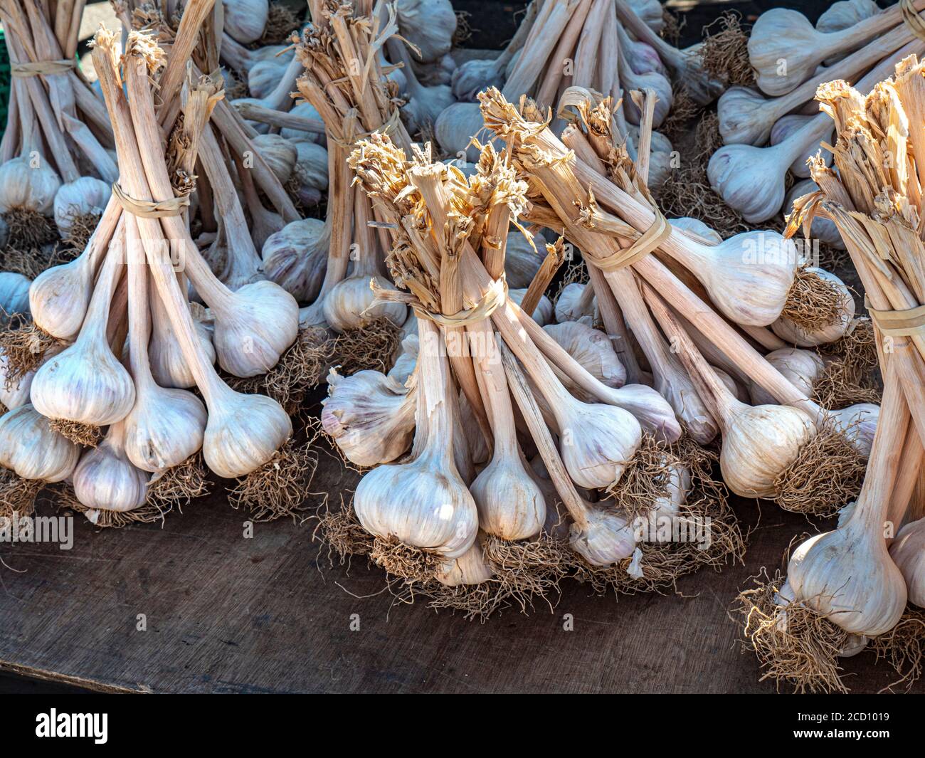 GARLICS MARKET STALL PINK ROSÉ GARLIC STALKS AIL LOCAL BRETON ...
