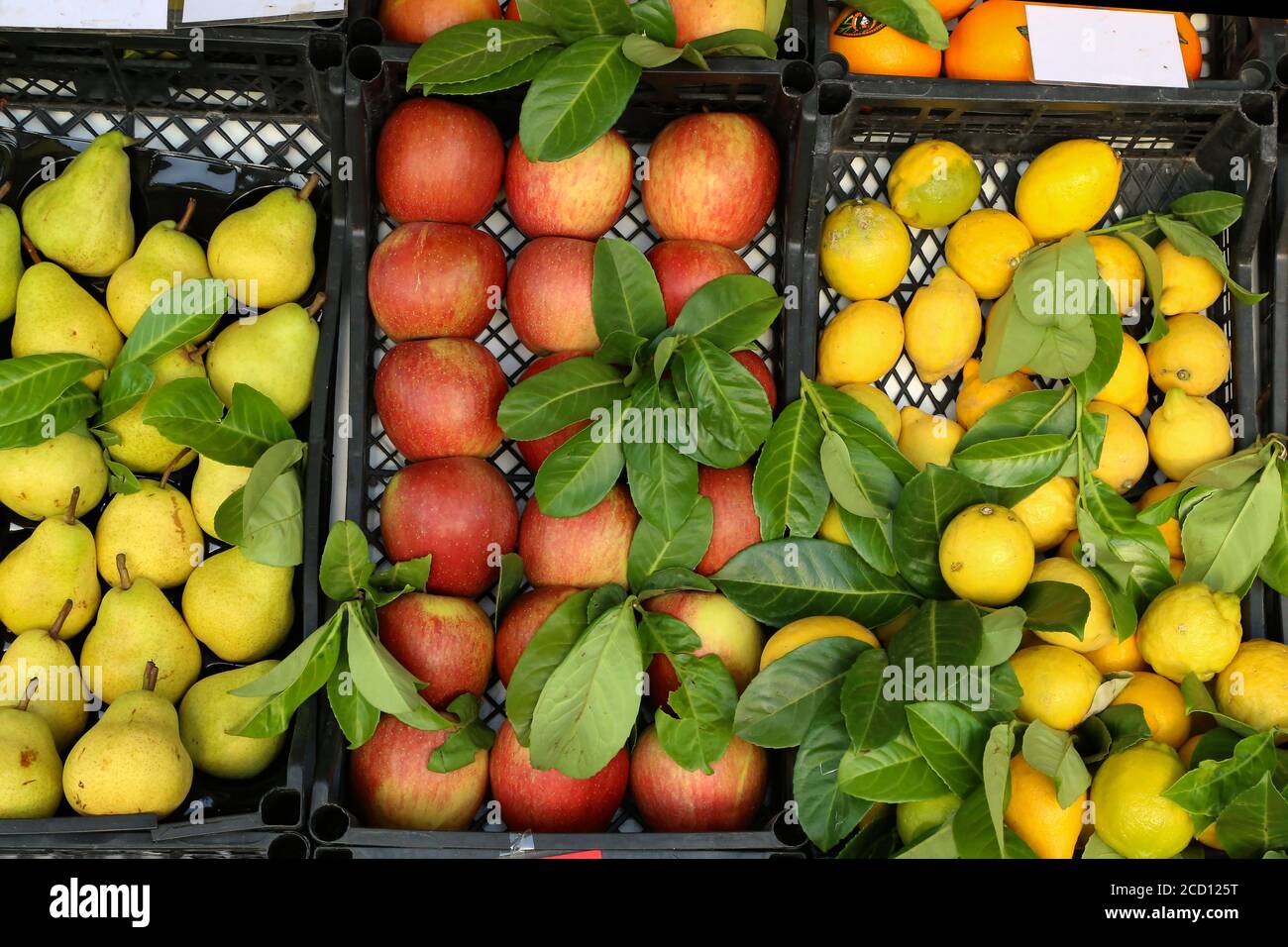 Top view various citrus hi-res stock photography and images - Alamy
