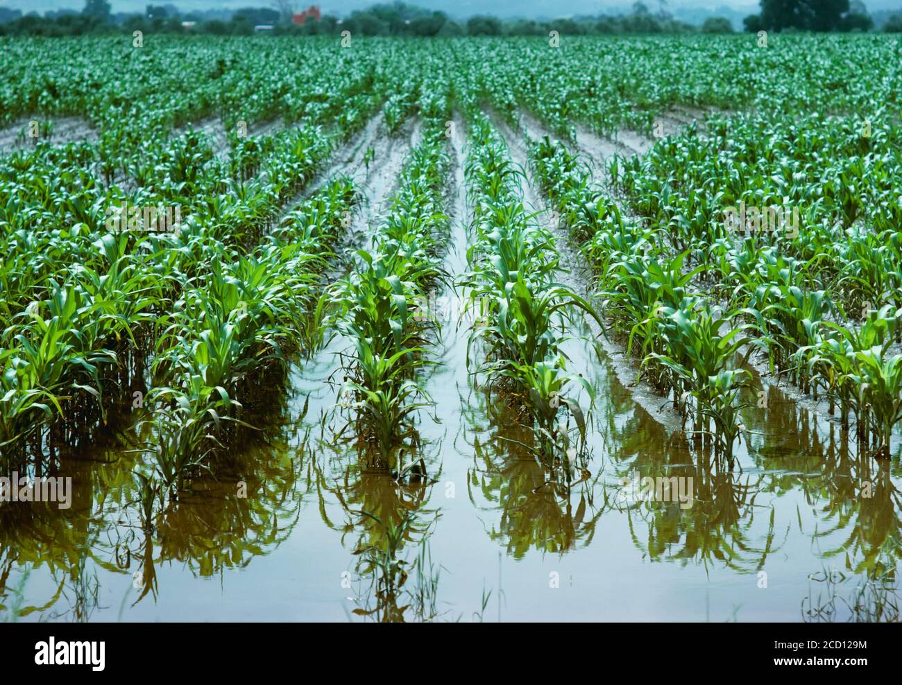 America Poor Drainage System Agriculture Agricultural Drainage