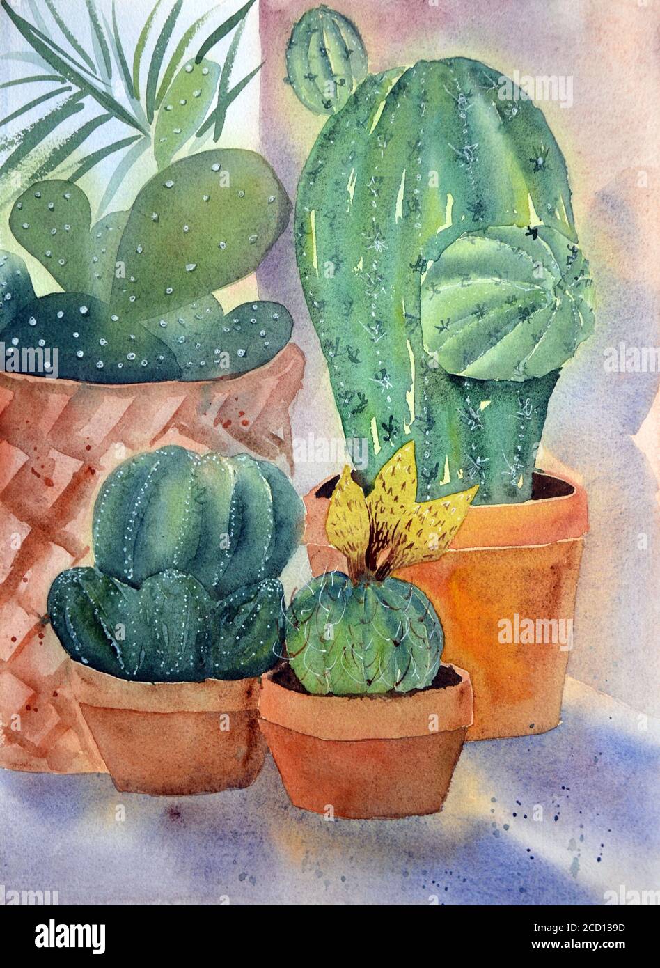Set of cactuses, hand drawn watercolor illustration Stock Photo - Alamy