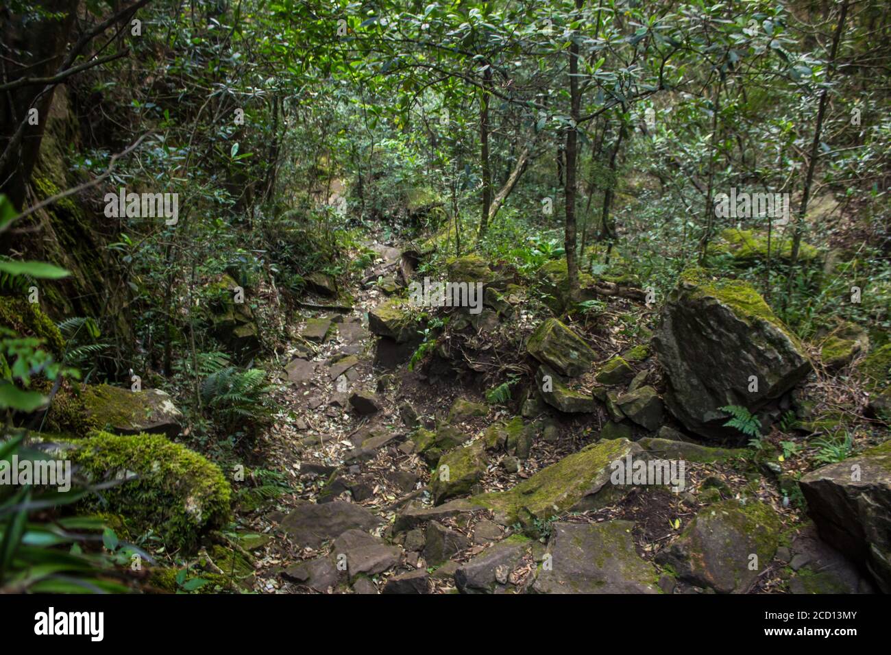 The steep trail of Van Heyningen’s Pass, descending down through the ...
