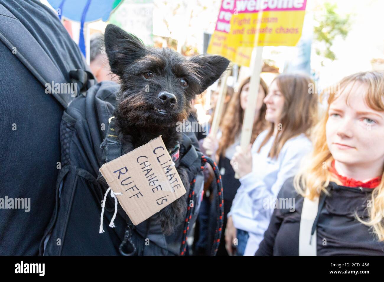 Funny protest signs hi-res stock photography and images - Alamy