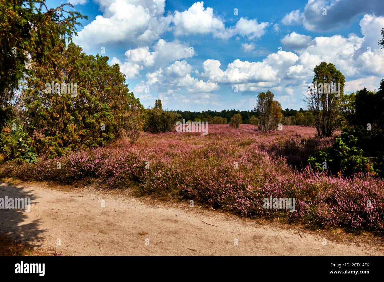 Heather sand hi-res stock photography and images - Alamy