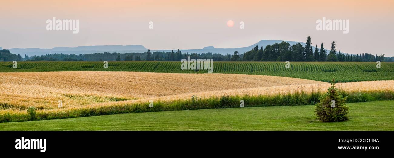 Green and golden farm fields at sunset with silhouetted mountains in ...