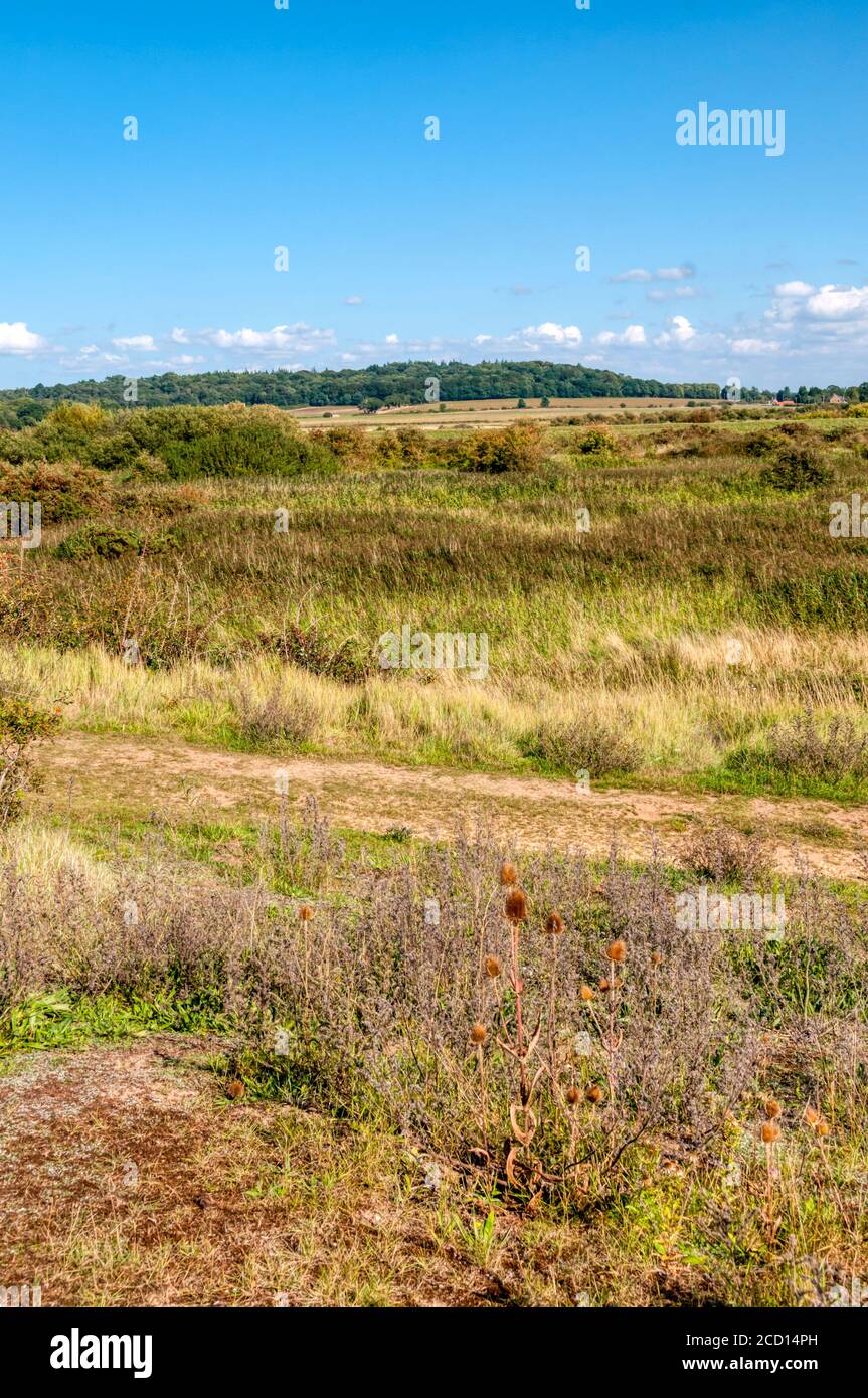 West Norfolk scenery behind the east coast of The Wash. View inland ...
