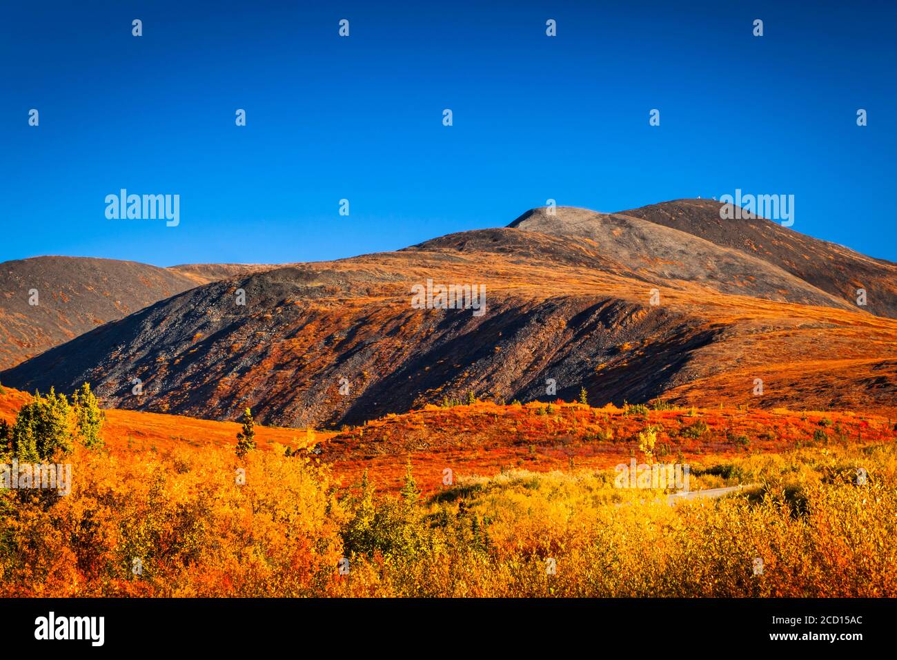 Alaska tanana valley hi-res stock photography and images - Alamy
