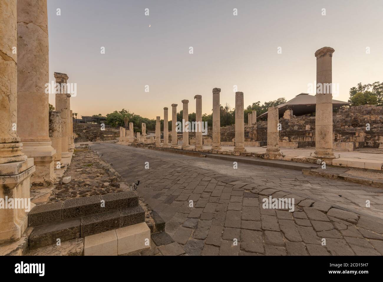 Palladius hi-res stock photography and images - Alamy