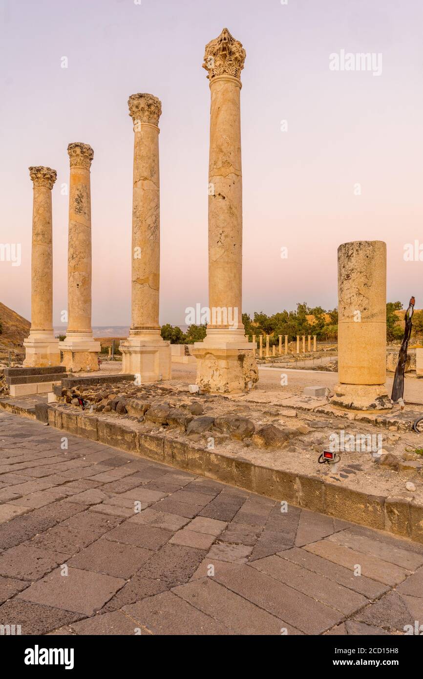 Palladius hi-res stock photography and images - Alamy