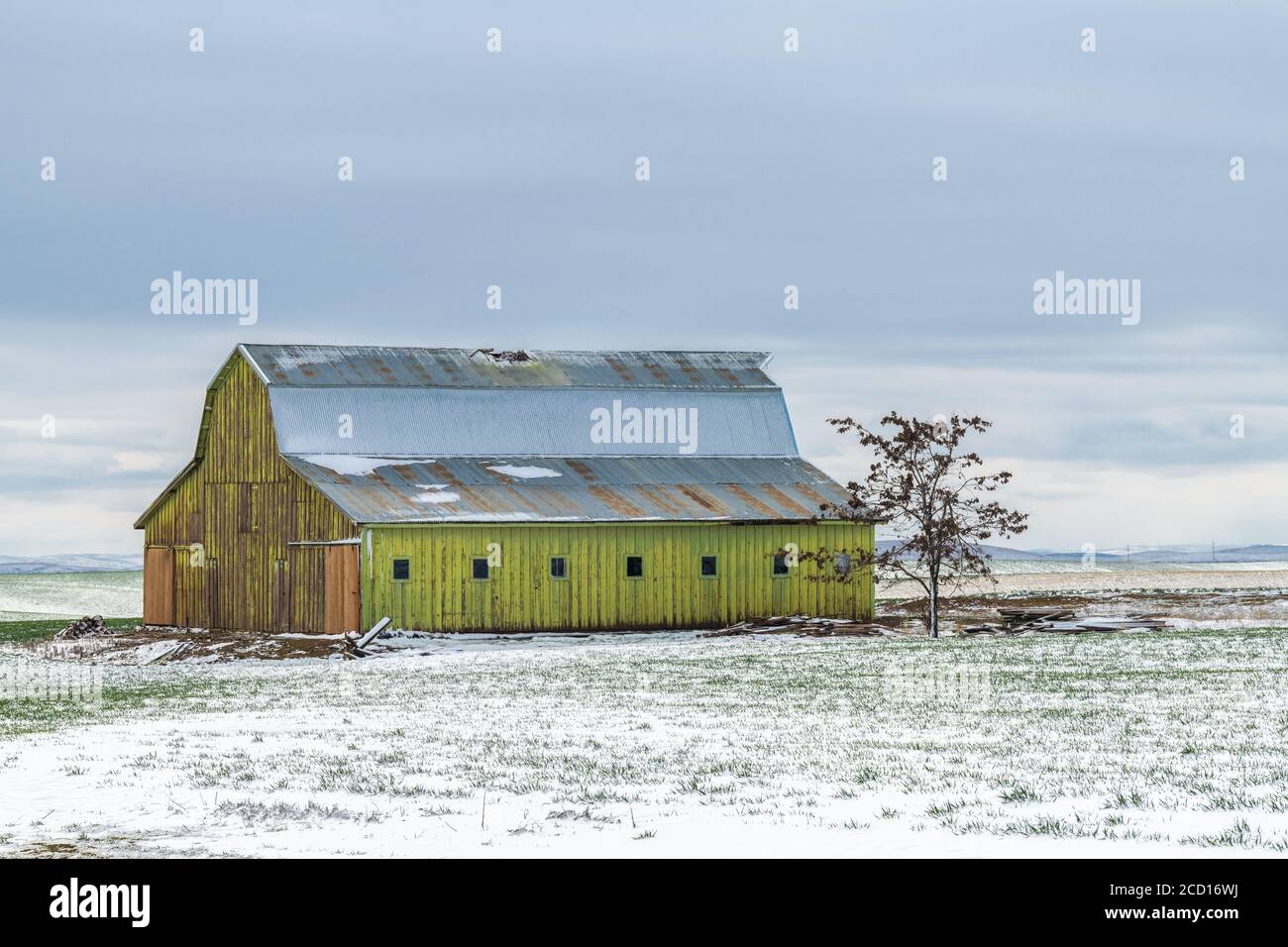 Old Barn in Washington State in Early Spring Stock Photo - Alamy