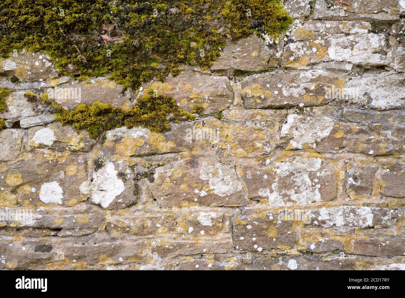 Plain brick wall brickwork hi-res stock photography and images - Alamy