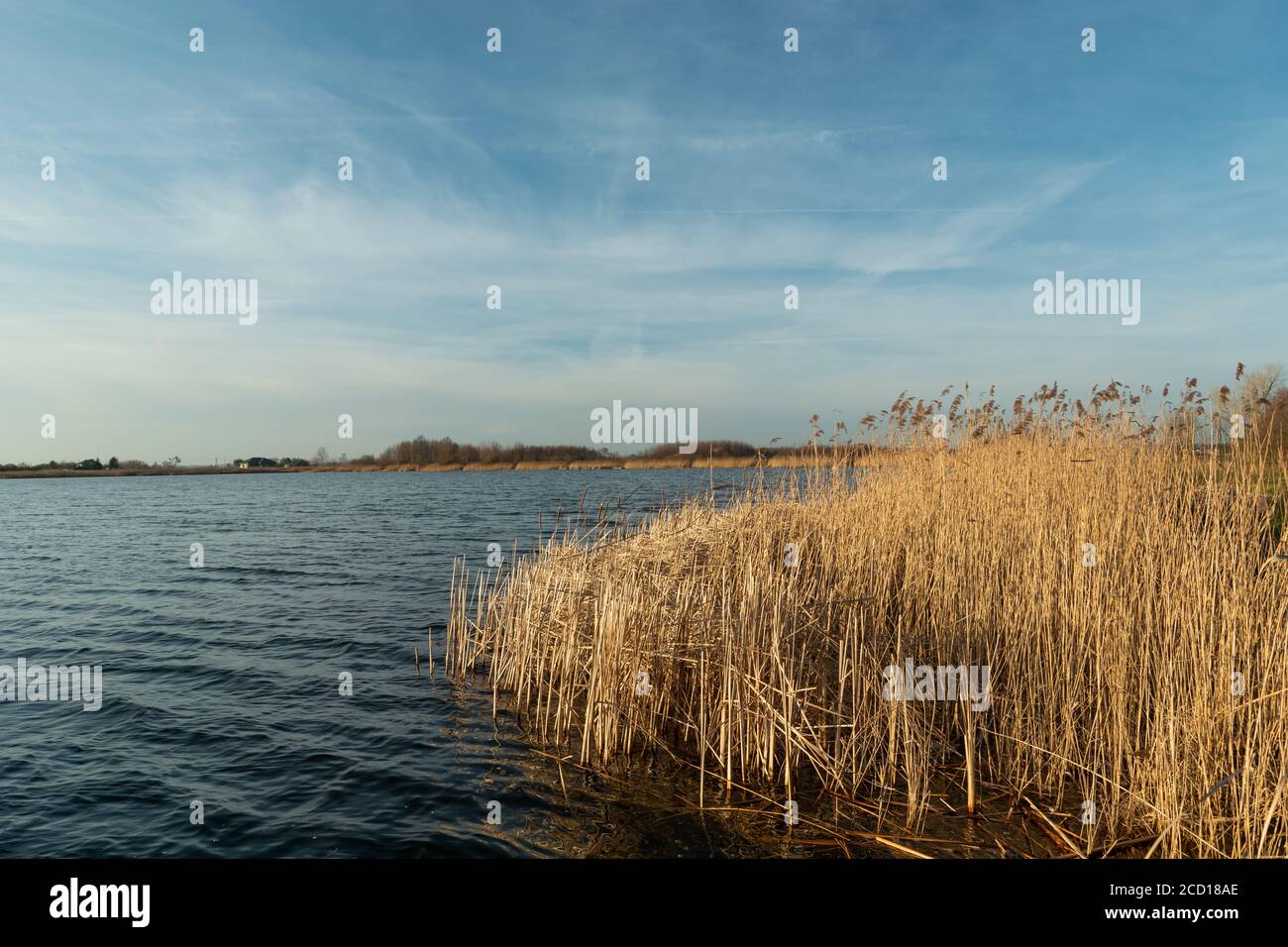 Lake wetland landscape dry hi-res stock photography and images - Alamy