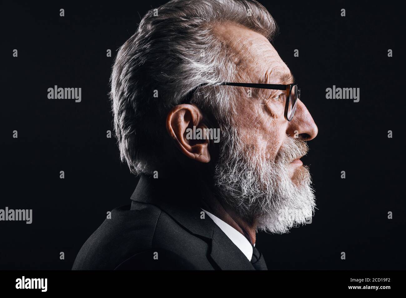 Head portrait of senior caucasion well-groomed businessman in ...