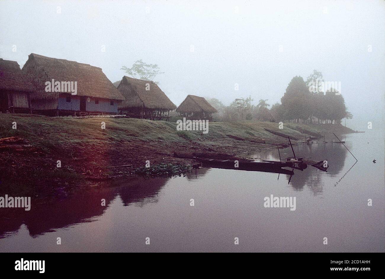 Amazonian indian village in Peru cabanas near the margin of the Maranõn ...