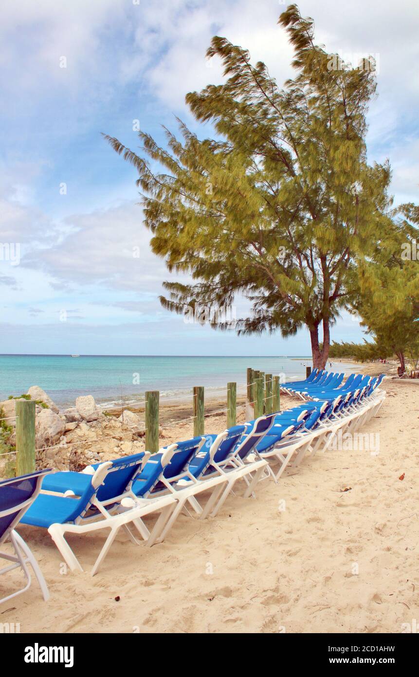 Lounge chairs on the beach Stock Photo - Alamy