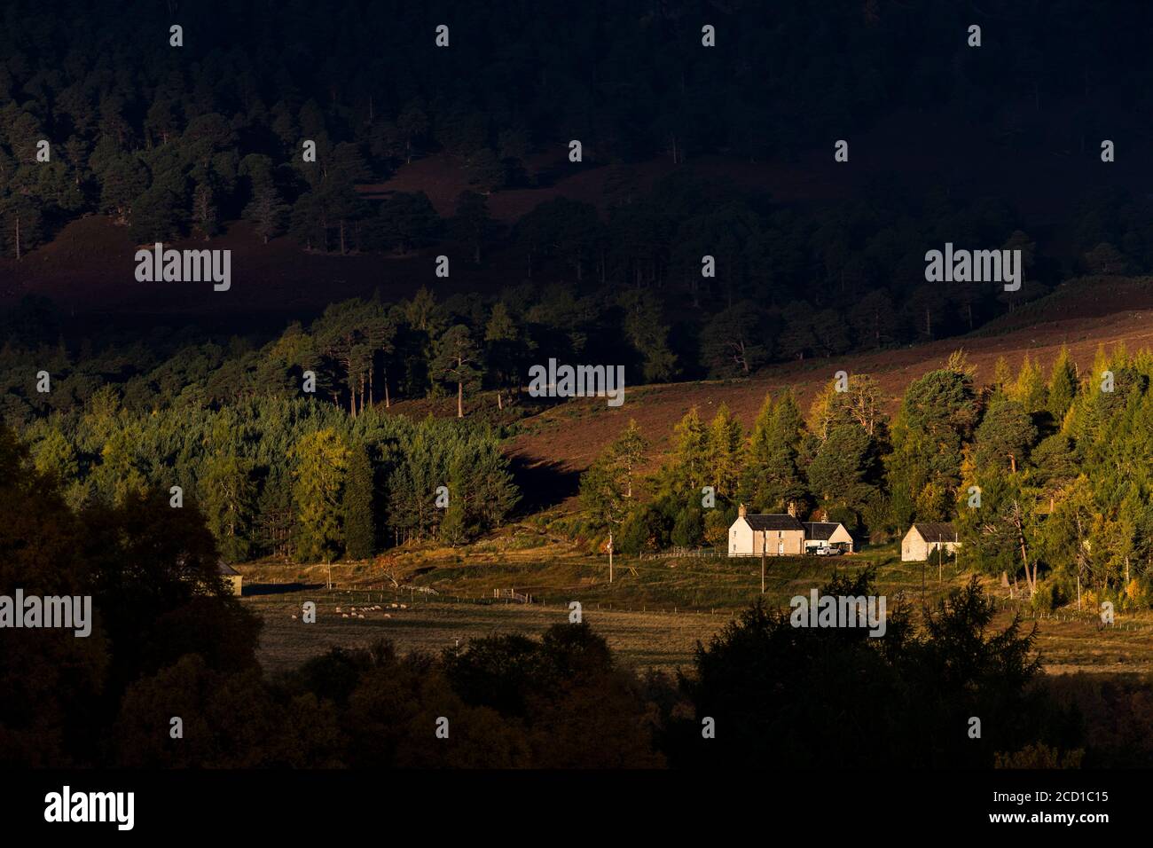 Valley of dee braemar valley of dee braemar hi-res stock photography ...