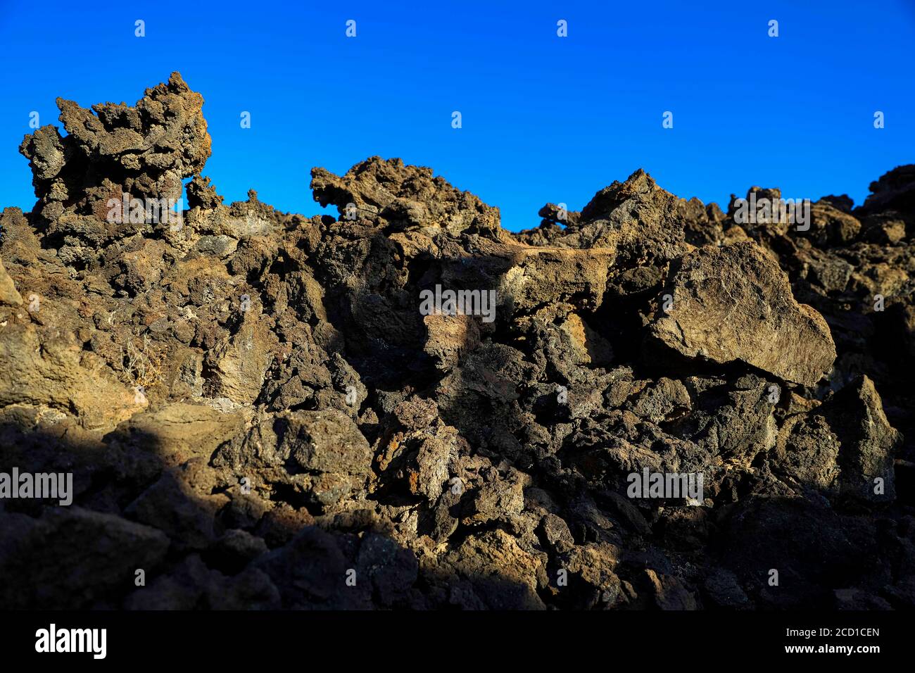Sonoran Desert in the highlands of the El Pinacate Biosphere Reserve ...