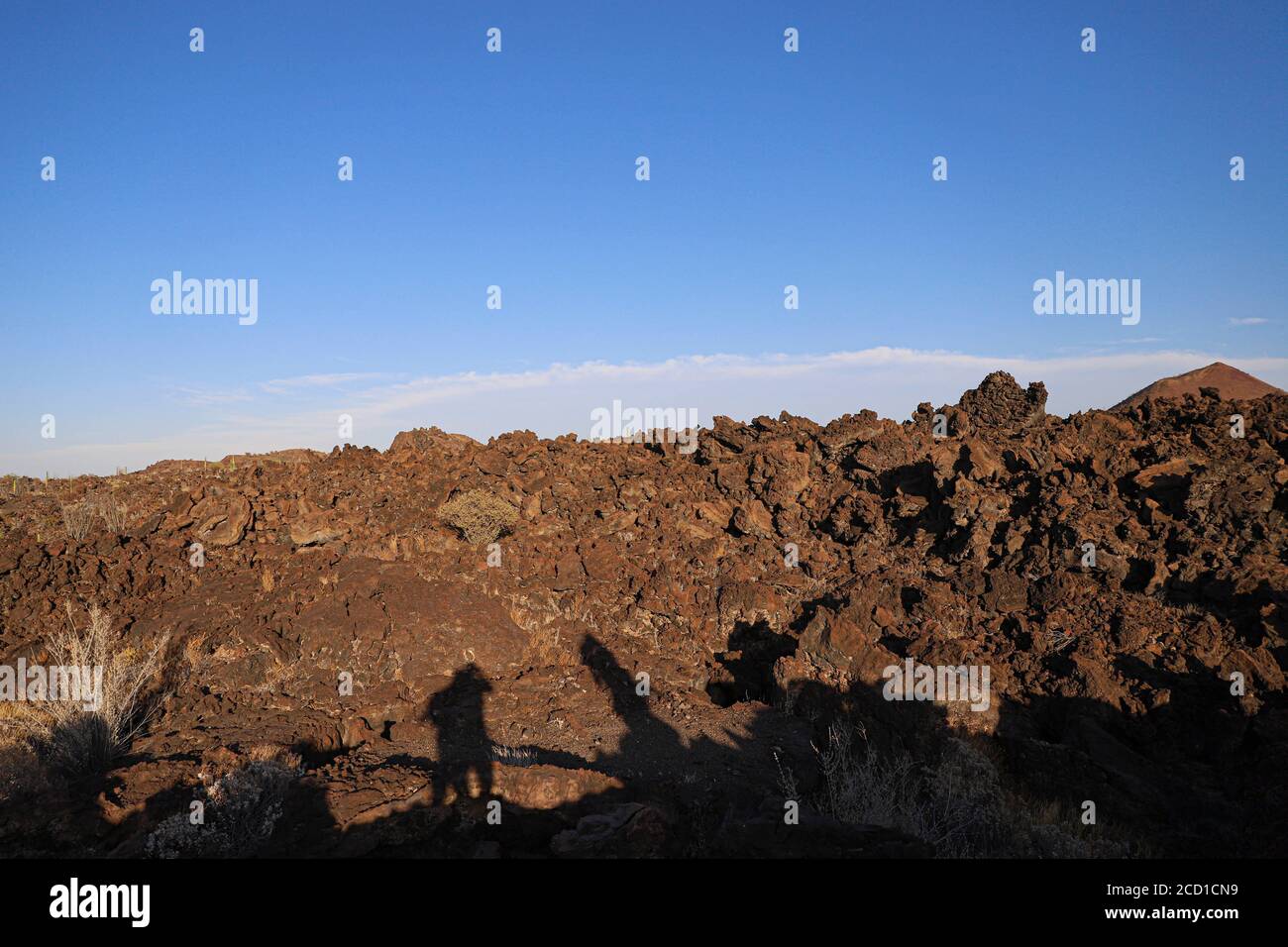 Sonoran Desert in the highlands of the El Pinacate Biosphere Reserve ...