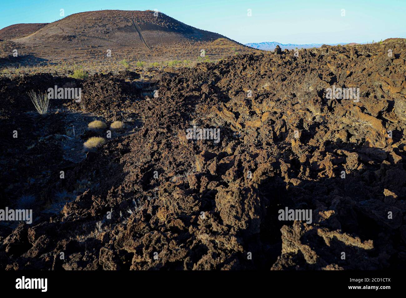 Sonoran Desert in the highlands of the El Pinacate Biosphere Reserve ...