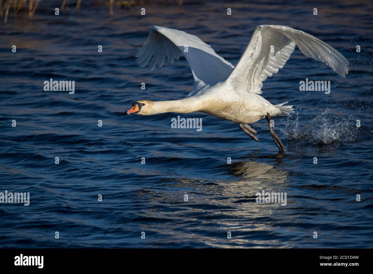 Take off splash hi-res stock photography and images - Alamy