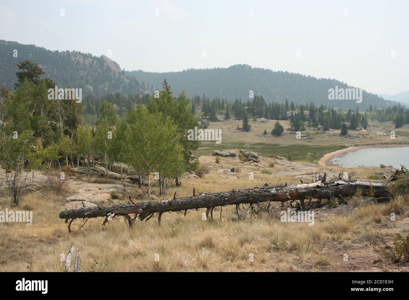 Coyote Ridge nature trail at Eleven Mile State Park curving around ...