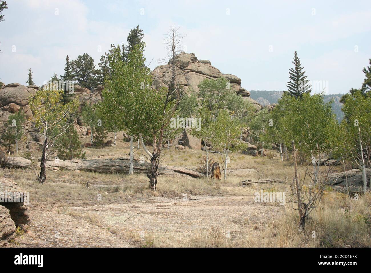 Coyote Ridge nature trail at Eleven Mile State Park curving around ...