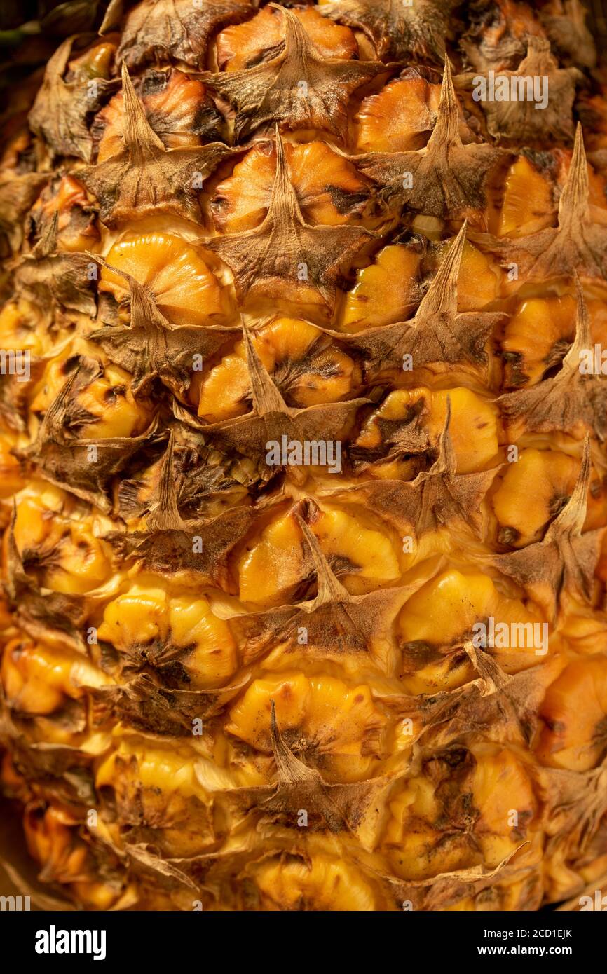 Macro close-up of ripe pineapple skin, fruit still-life Stock Photo - Alamy