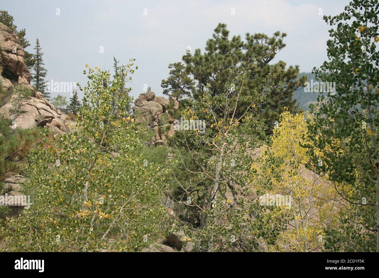 Coyote Ridge nature trail at Eleven Mile State Park curving around ...