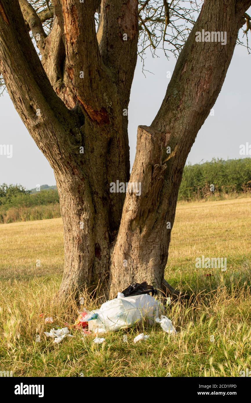 Casually discarded litter in the english landscape, environmental ...
