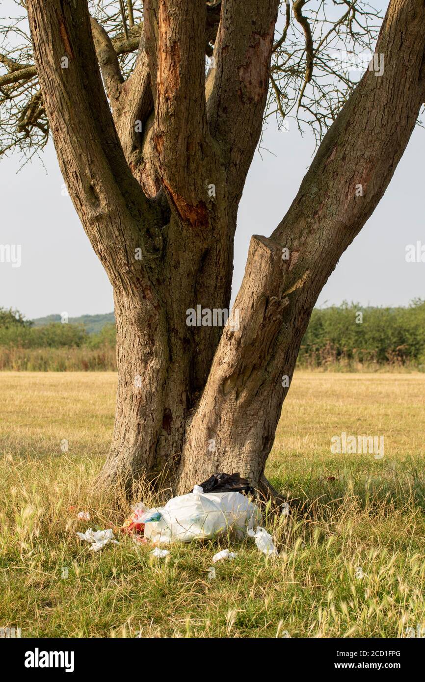 Casually discarded litter in the english landscape, environmental ...