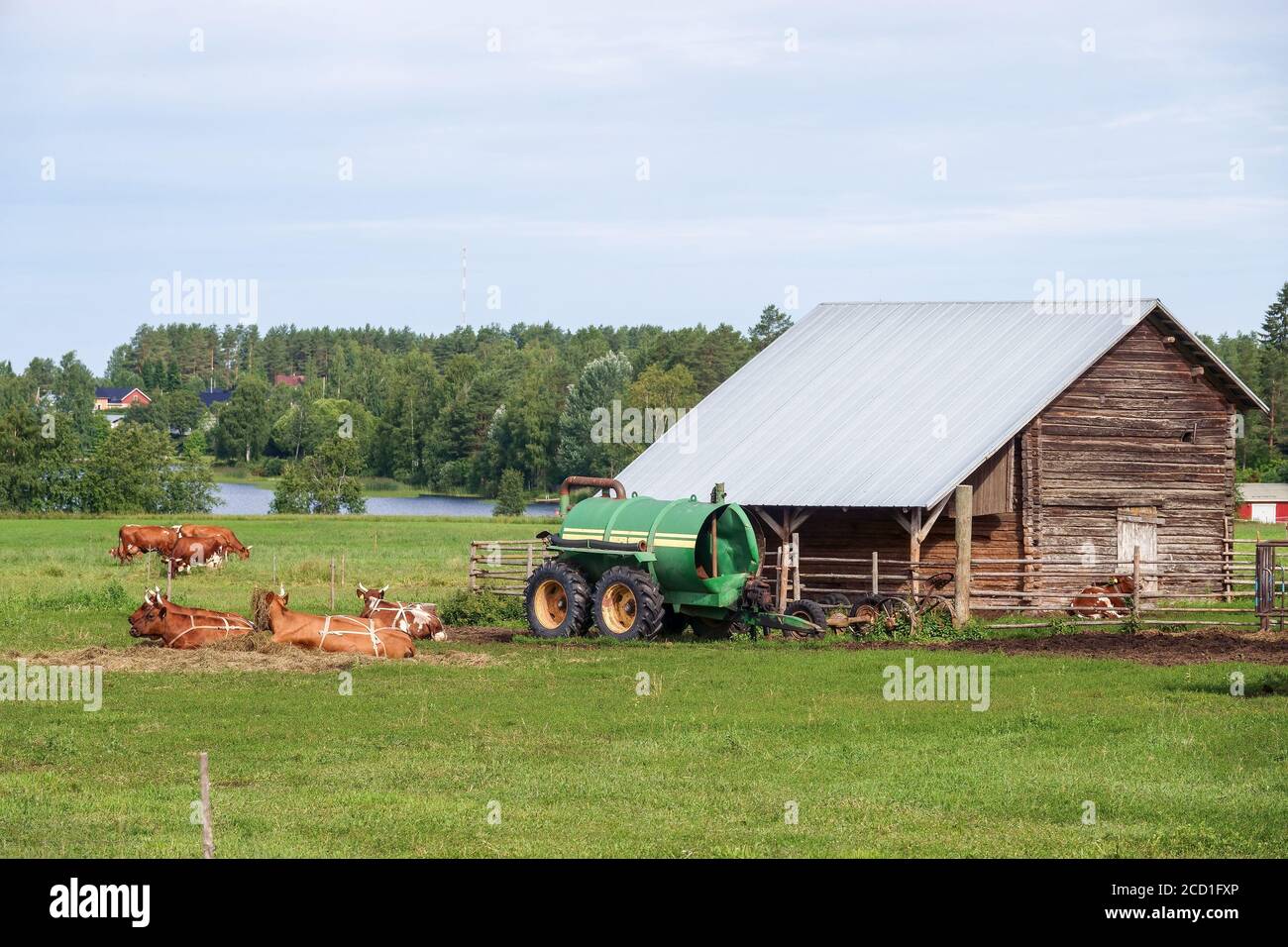 Finland farm dairy hi-res stock photography and images - Alamy